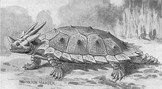 10 Animals Who Were Forced Into Extinction - What on Earth?